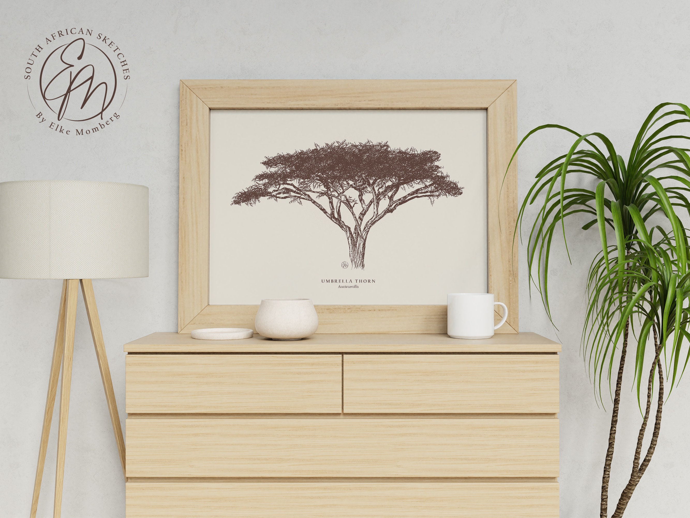 Umbrella Thorn Tree Botanical Wall Art, Vintage Style Digital Drawing ...