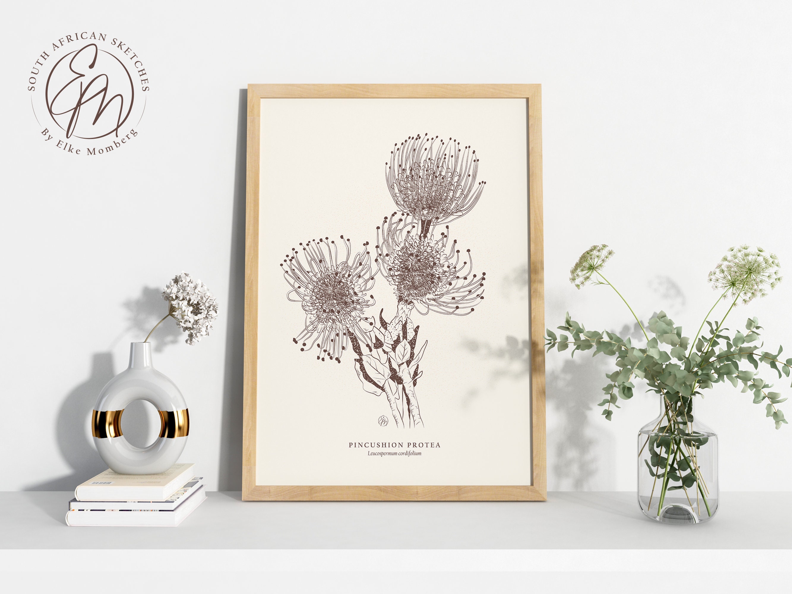 South African Pincushion Protea Botanical Wall Art, Vintage Style ...