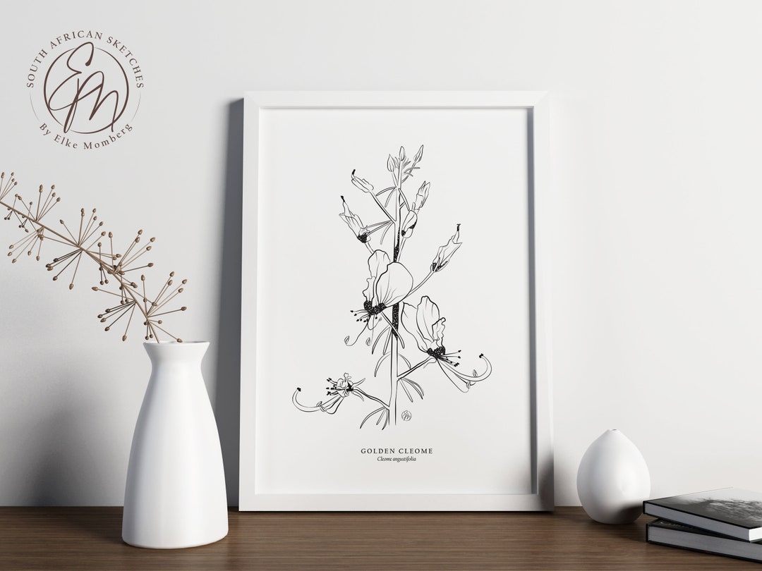 South African Golden Cleome Botanical Wall Art, Modern Black and White ...
