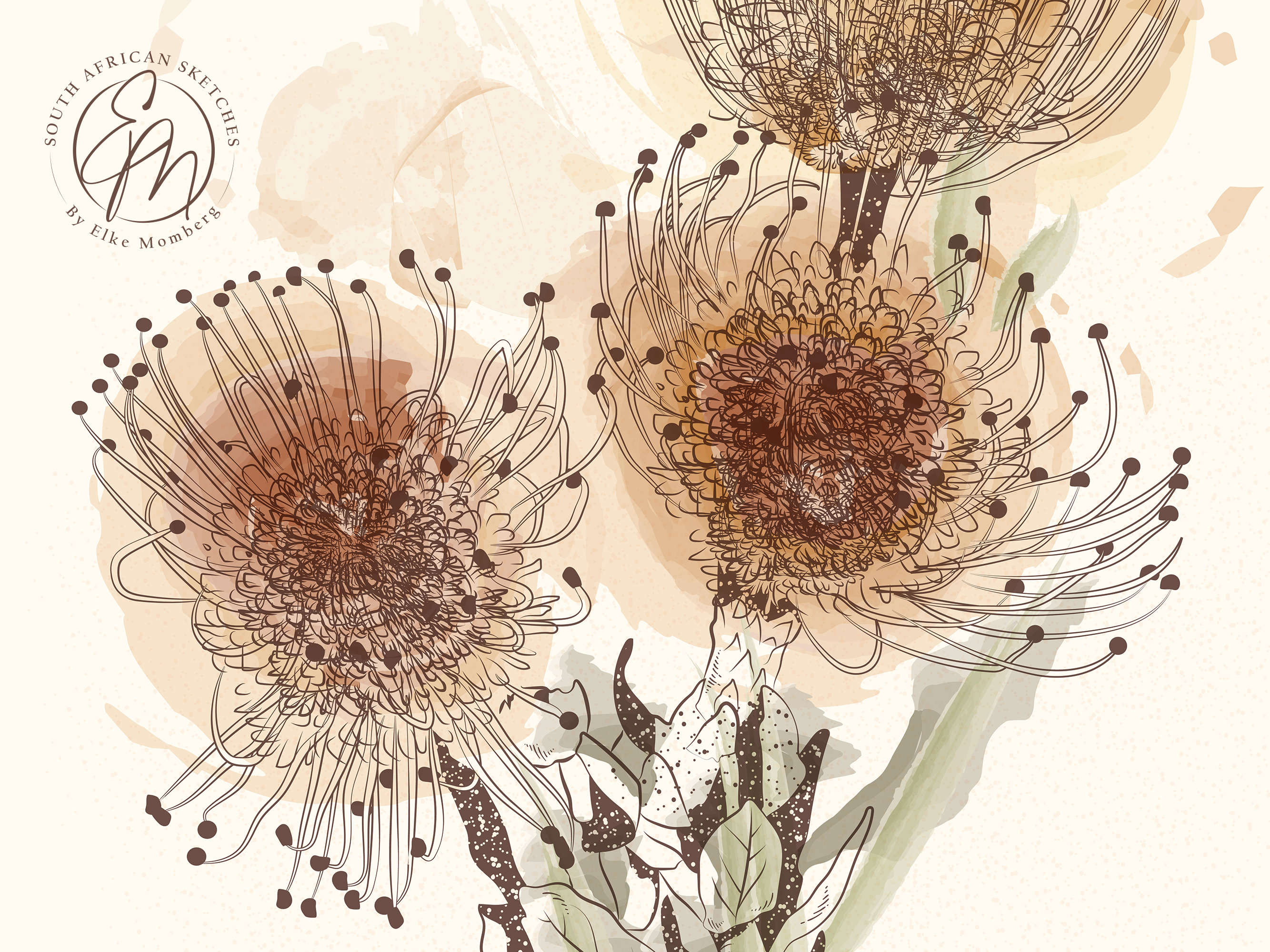 South African Pincushion Protea Botanical Wall Art, Watercolor Style ...