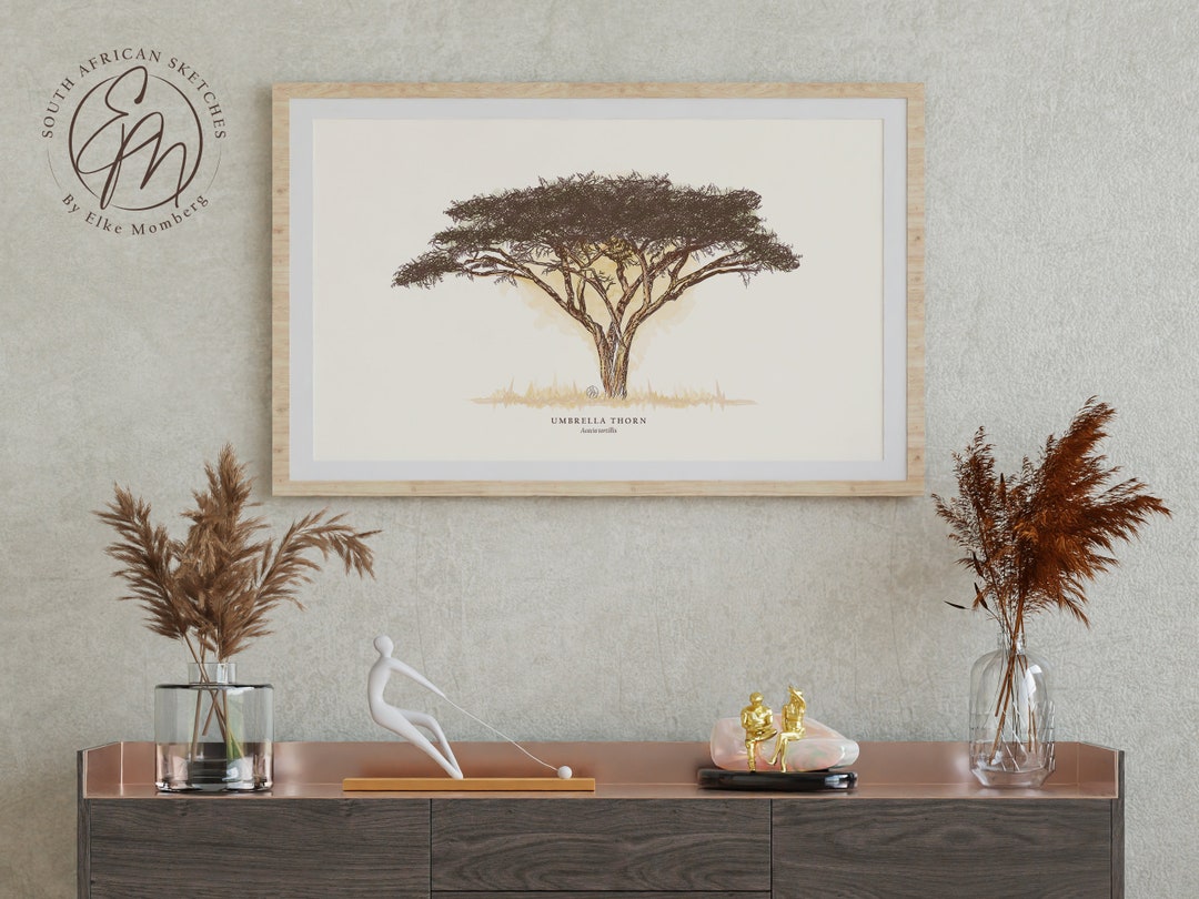 Umbrella Thorn Tree Botanical Wall Art, Watercolor Style Digital ...