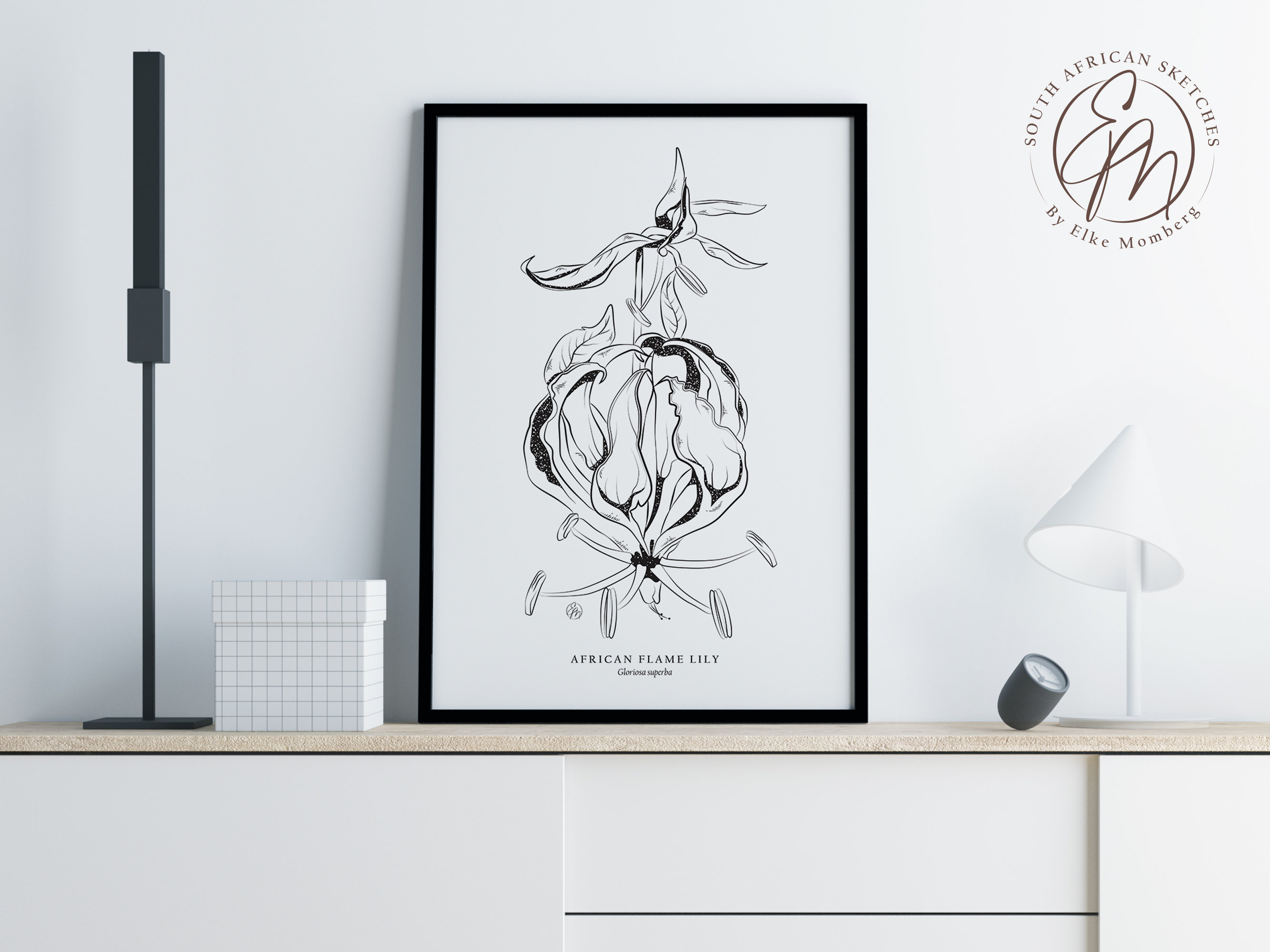 South African Flame Lily Botanical Wall Art, Modern Black and White ...