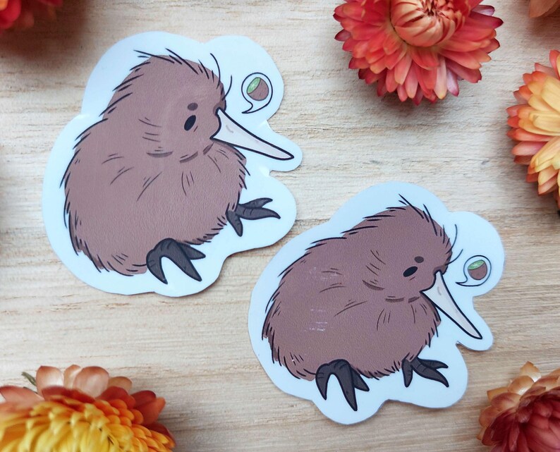 Kiwi Bird Sticker - Etsy