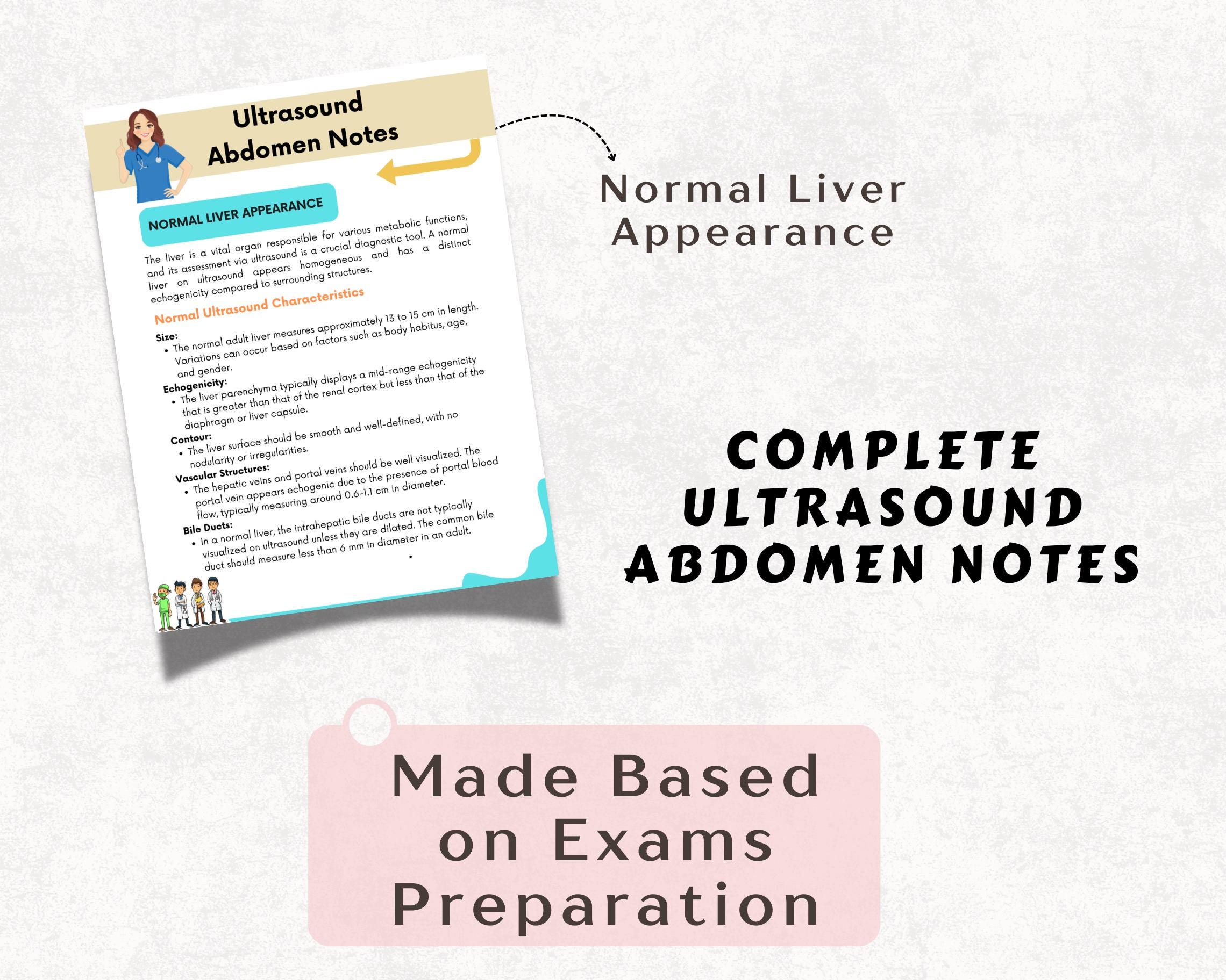 Ultrasound School Abdomen Bundle Ultrasound Student Study Notes ...