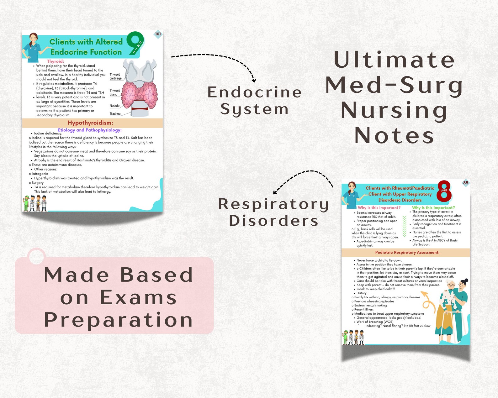Med-surg Study Bundle 2024, Nursing Study Guide, Med Surg Notes ...