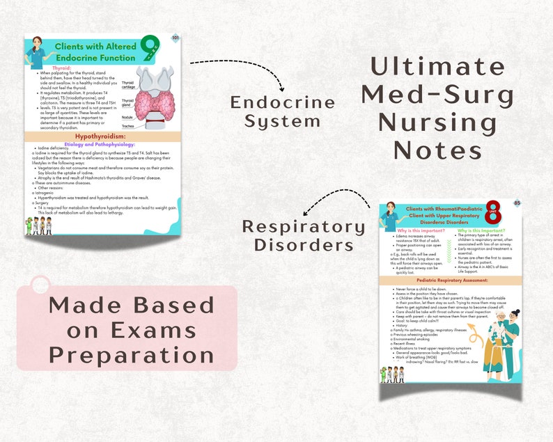 Med-surg Study Bundle 2024, Nursing Study Guide, Med Surg Notes ...