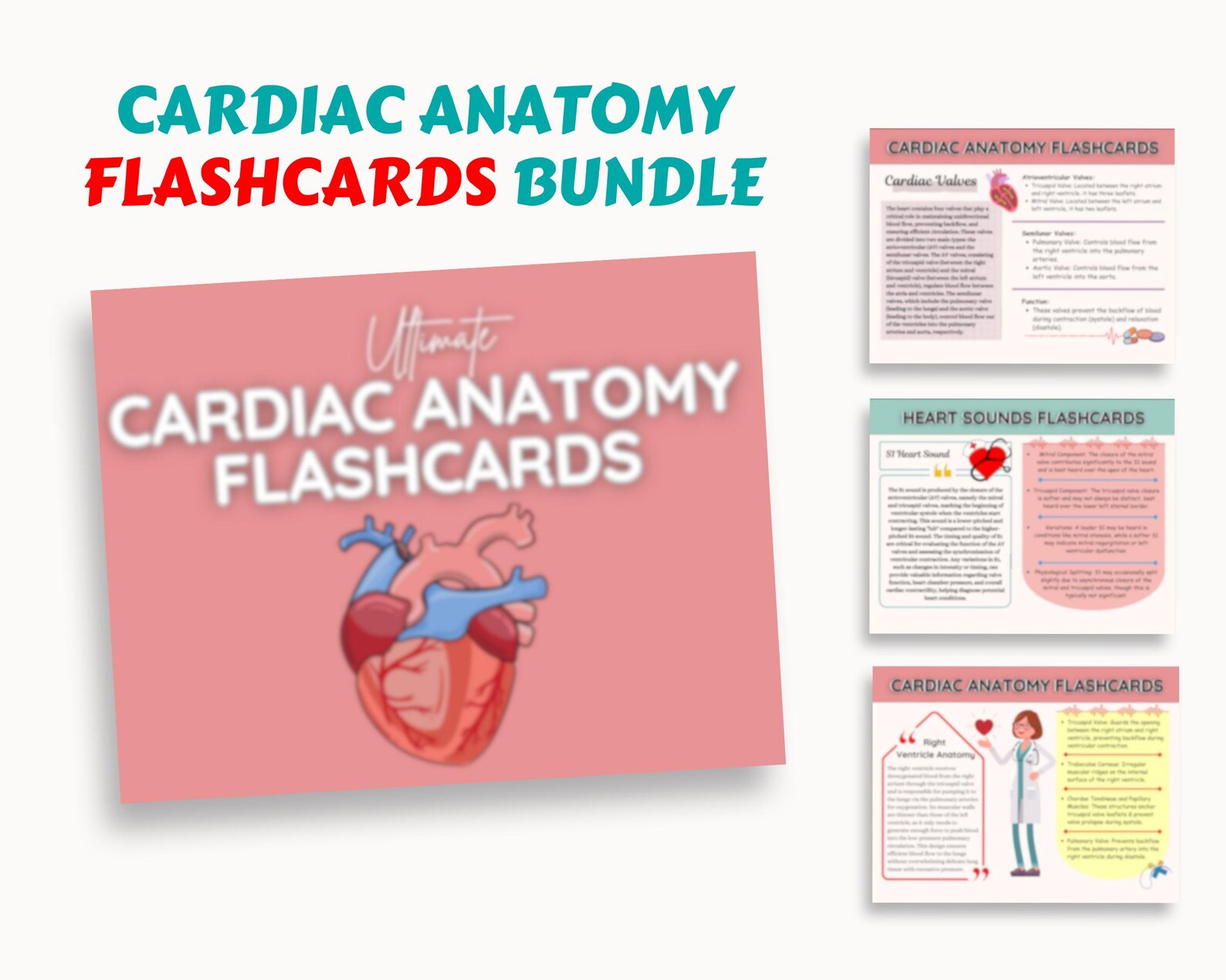 Complete Cardiac Anatomy Flashcards 2025, Cardiovascular System, Heart ...