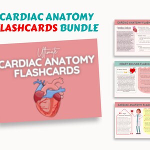 Complete Cardiac Anatomy Flashcards 2025, Cardiovascular System, Heart ...