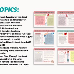 Complete Cardiac Anatomy Flashcards 2025, Cardiovascular System, Heart ...