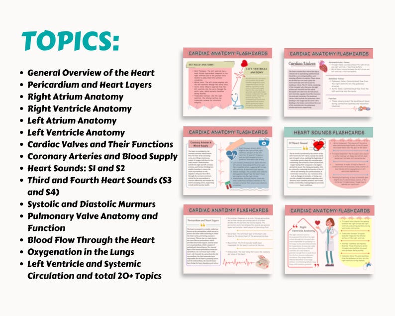 Complete Cardiac Anatomy Flashcards 2025, Cardiovascular System, Heart ...