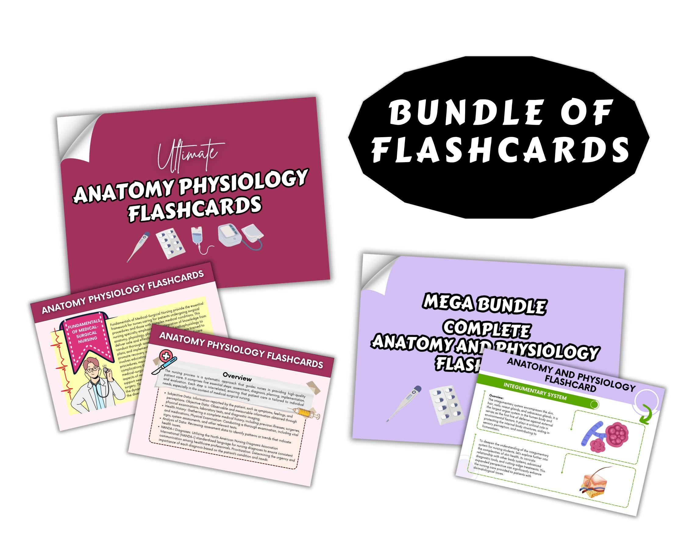 MEGA BUNDLE: Complete Anatomy Physiology Bundle, Quiz, Flashcards V 1 ...