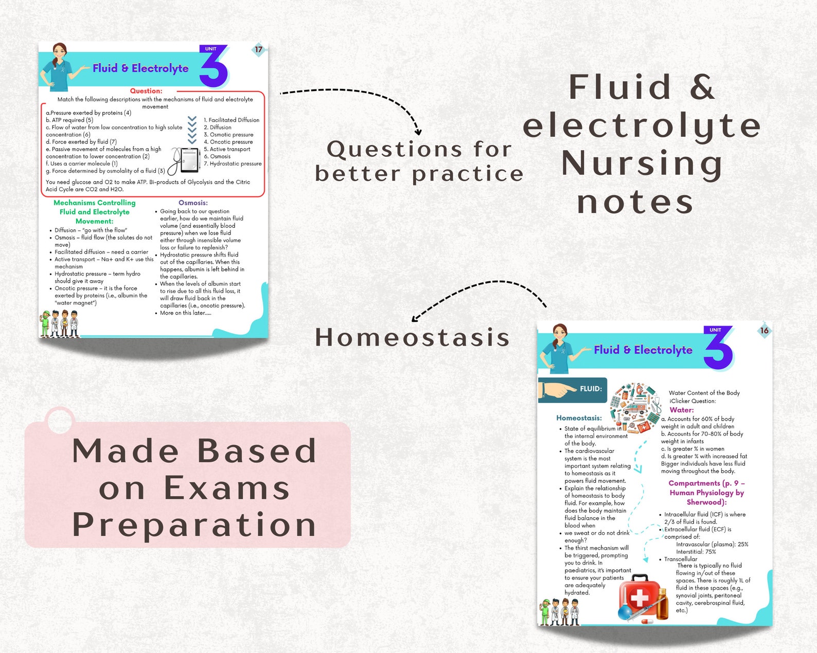 Electrolytes Imbalance Bundle | Nursing Notes Guide | Nursing School ...