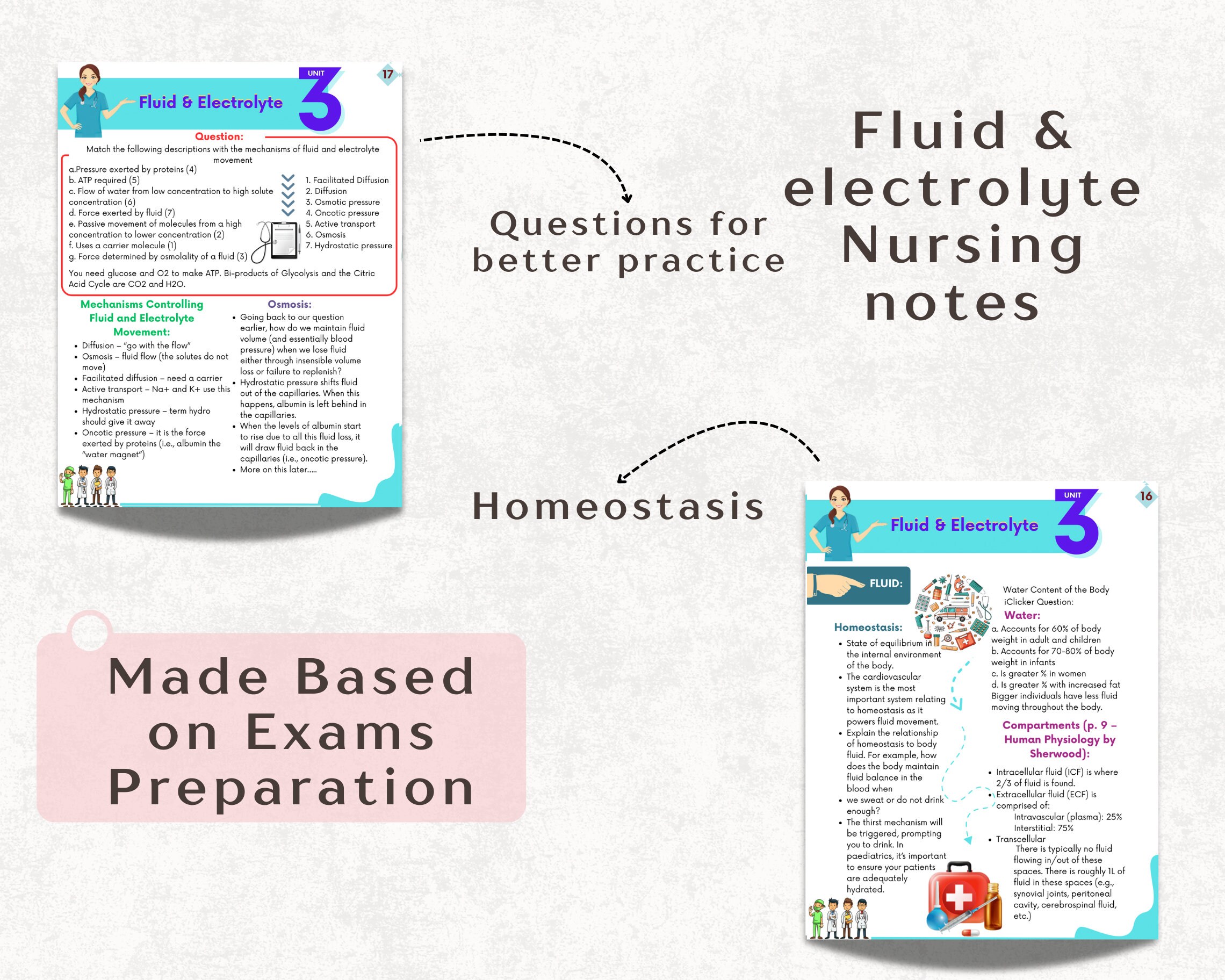Electrolytes Imbalance Bundle | Nursing Notes Guide | Nursing School ...