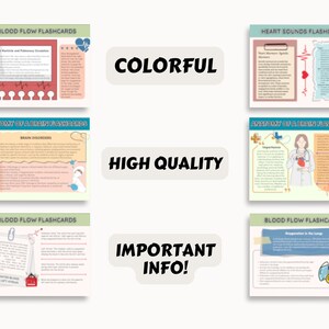 Complete Cardiac Anatomy Flashcards 2025, Cardiovascular System, Heart ...
