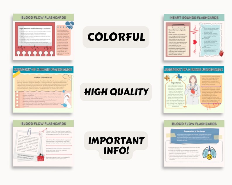 Complete Cardiac Anatomy Flashcards 2025, Cardiovascular System, Heart ...
