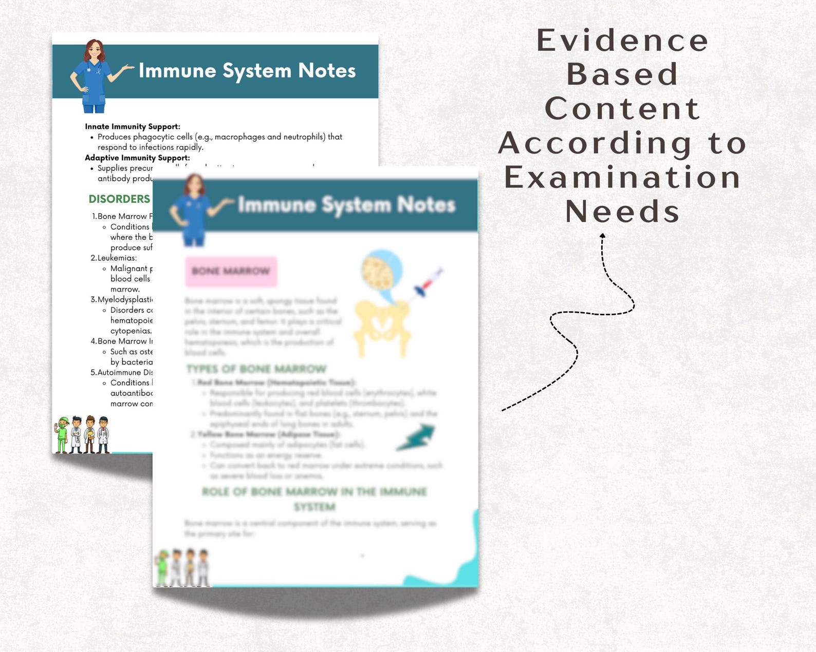 Immunology Nursing Notes 60+ Pages, Immune System Biology Notes, Med ...