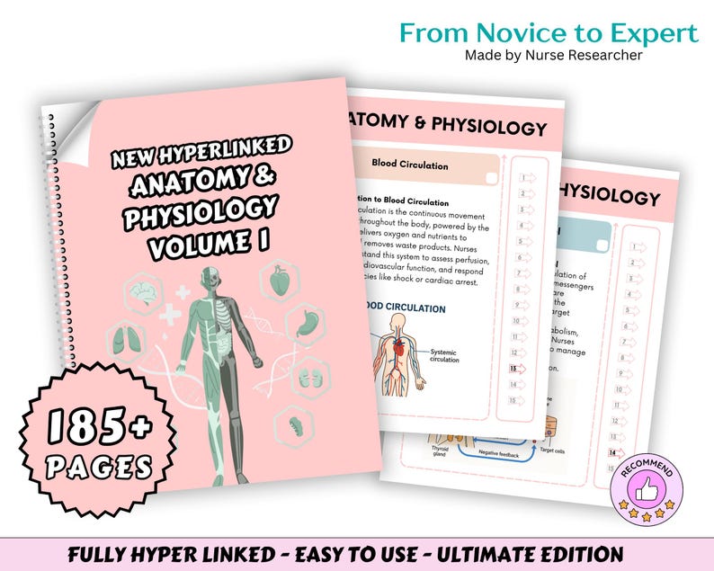 MEGA BUNDLE: Complete Anatomy Physiology Bundle, Quiz, Flashcards V 1 ...