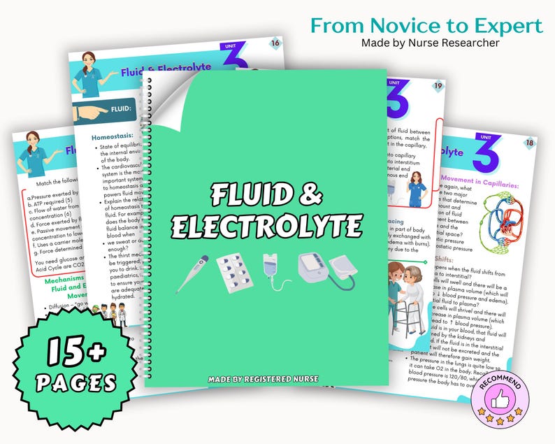 Electrolytes Imbalance Bundle | Nursing Notes Guide | Nursing School ...