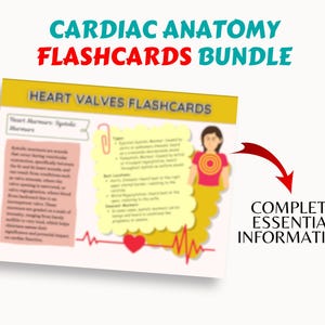 Complete Cardiac Anatomy Flashcards 2025, Cardiovascular System, Heart ...
