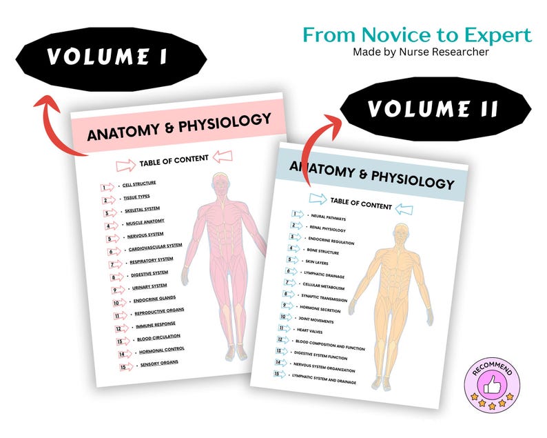 MEGA BUNDLE: Complete Anatomy Physiology Bundle, Quiz, Flashcards V 1 ...