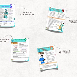 Ultimate Nursing Success Bundle: 470+ Page Handwritten Notes by an RN ...