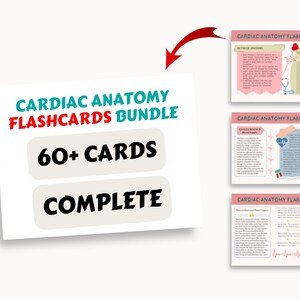 Complete Cardiac Anatomy Flashcards 2025, Cardiovascular System, Heart ...