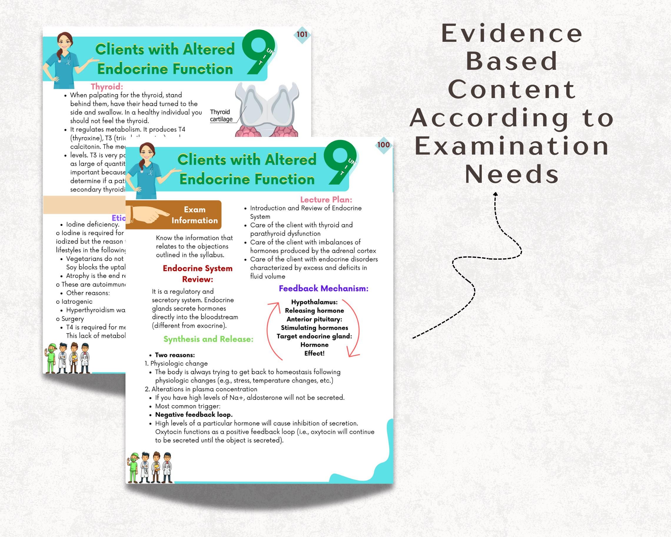 Endocrine System Nursing Study Guide, Endocrine Disorders, Endocrine ...