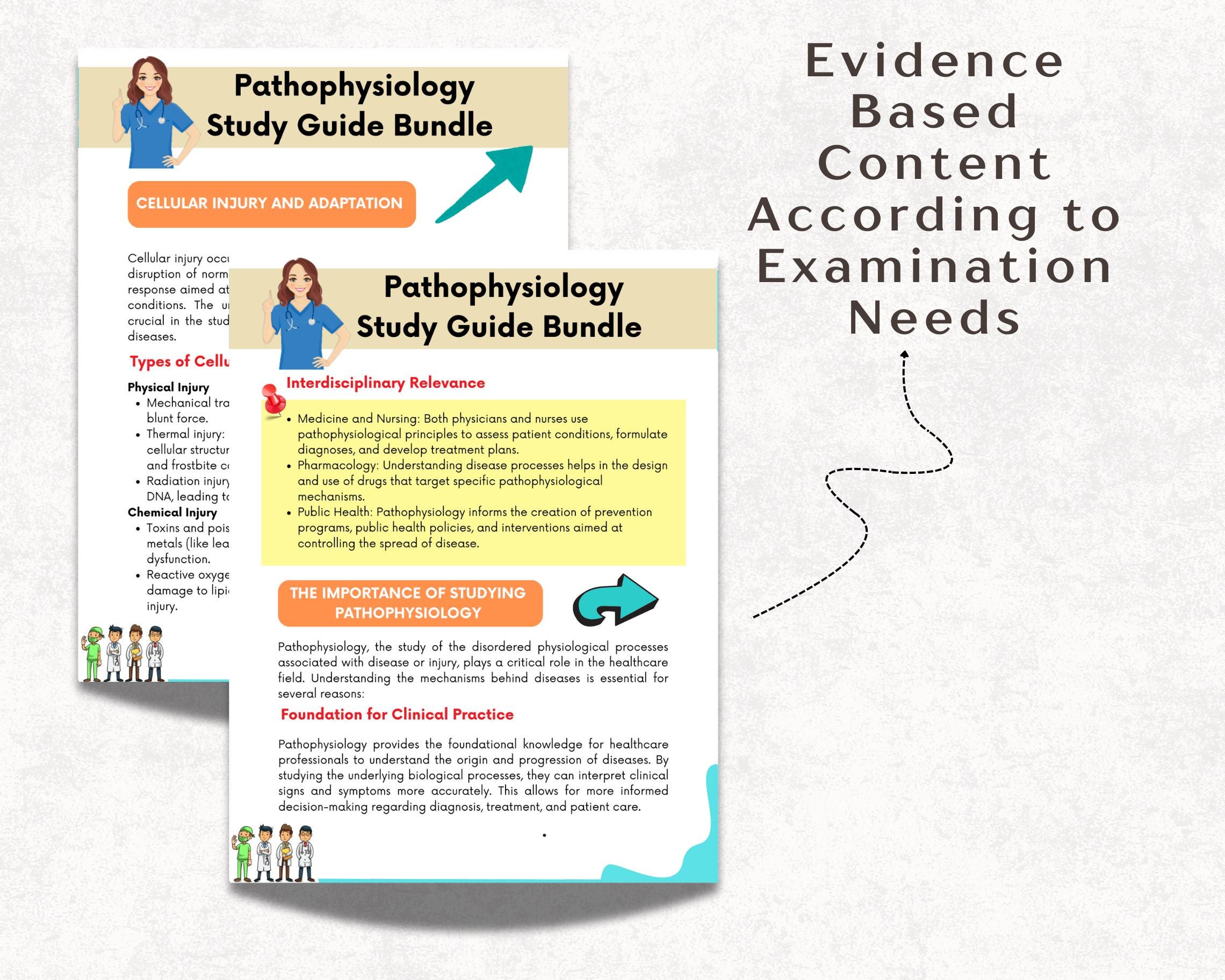 Pathophysiology Study Guide Bundle 60+ Pages, Pathophysiology Nursing ...