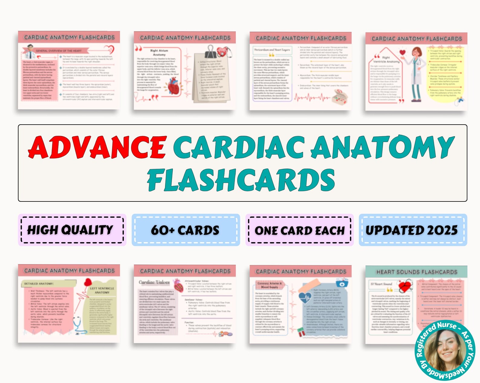 Complete Cardiac Anatomy Flashcards 2025, Cardiovascular System, Heart ...
