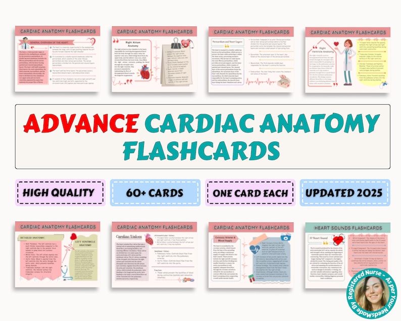 Complete Cardiac Anatomy Flashcards 2025, Cardiovascular System, Heart ...