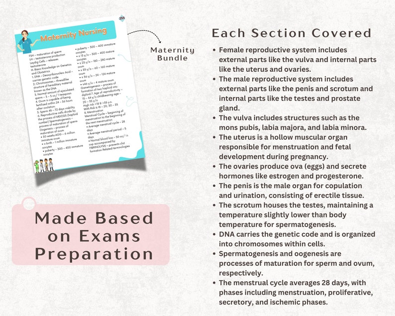 Ultimate Nursing Success Bundle: 470+ Page Handwritten Notes by an RN ...