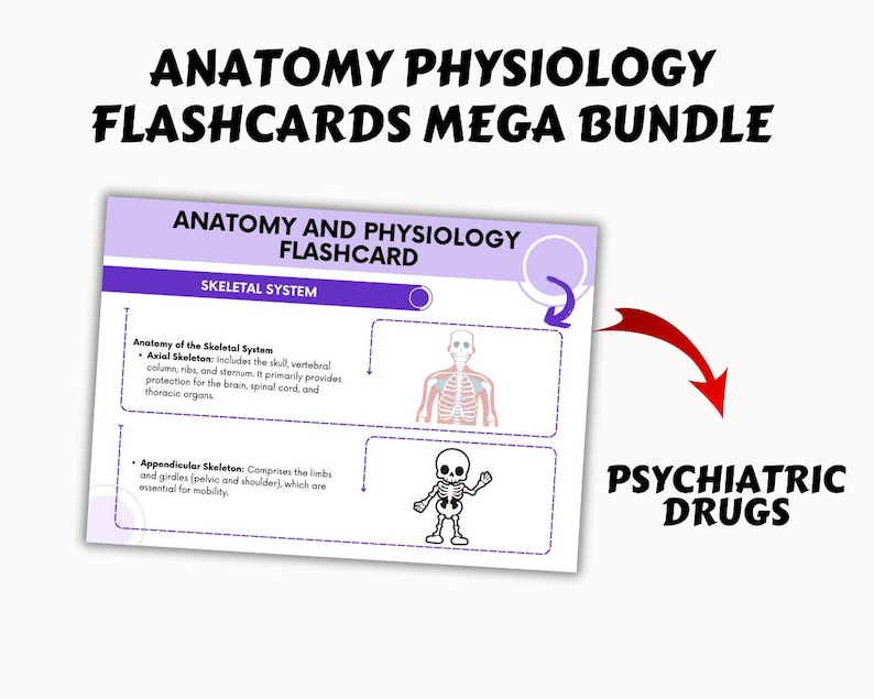 250+ Anatomy and Physiology Flashcards | Anatomy Study Guide | Nursing ...