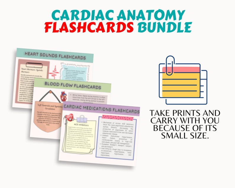 Complete Cardiac Anatomy Flashcards 2025, Cardiovascular System, Heart ...
