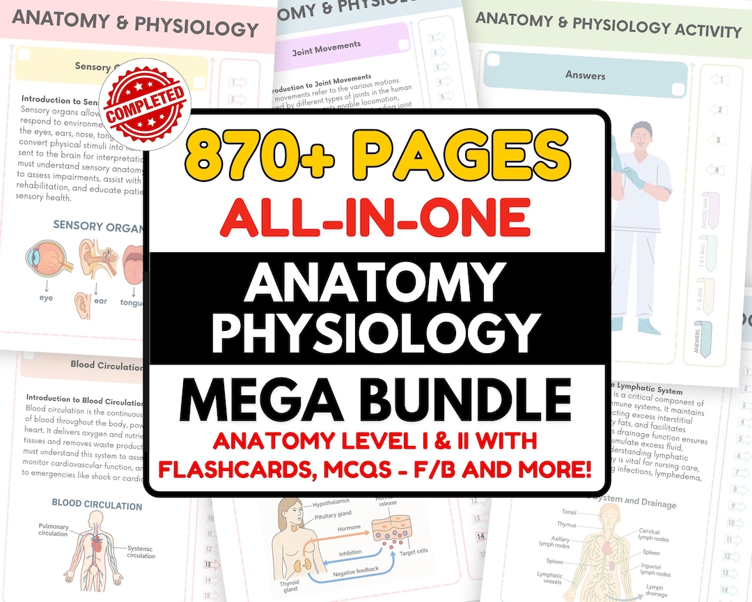 MEGA BUNDLE: Complete Anatomy Physiology Bundle, Quiz, Flashcards V 1 ...