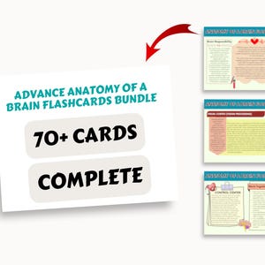 Complete Anatomy of A Brain Flashcards 2025, Brain Anatomy, Anatomy ...