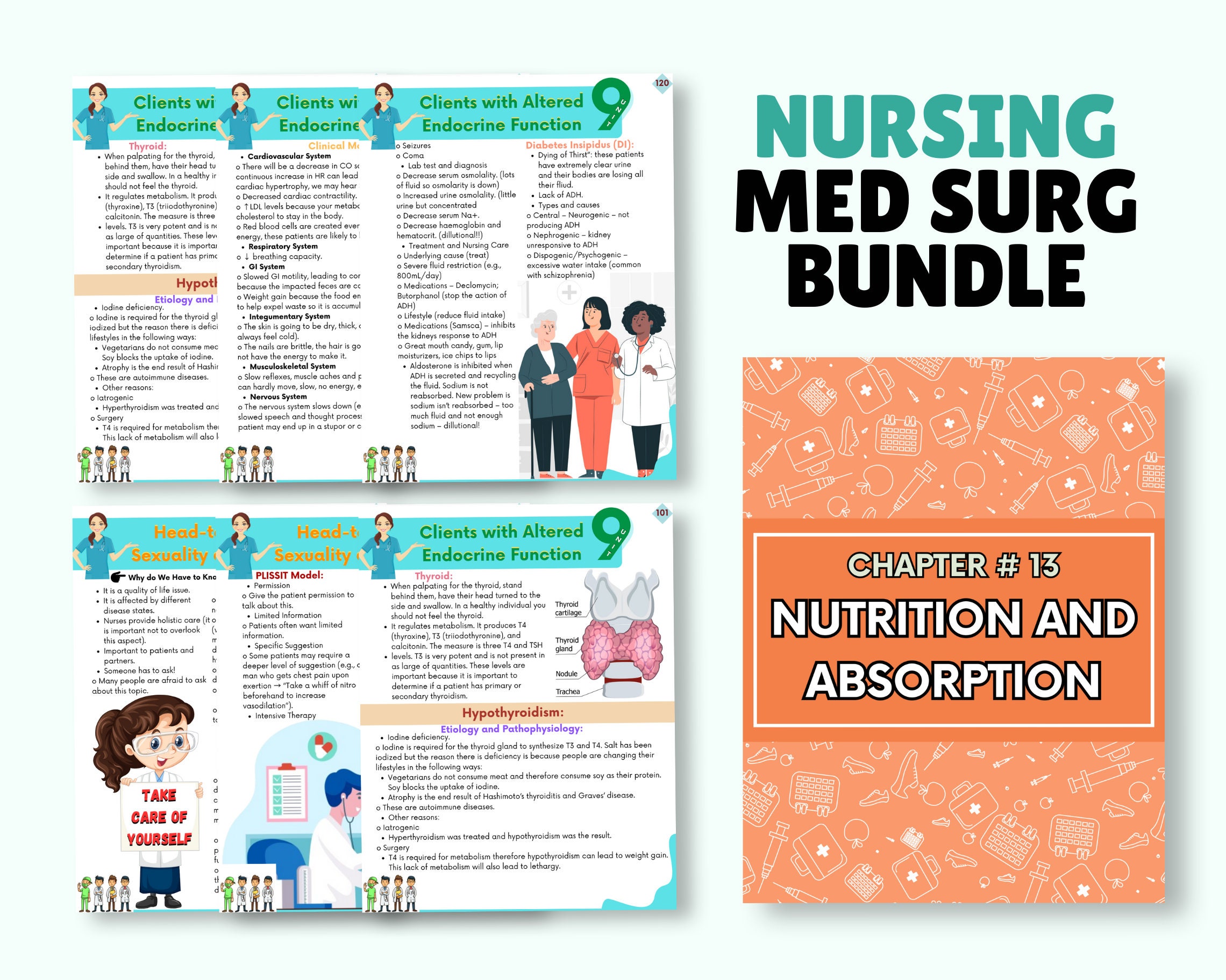 Med-surg Study Bundle 2024, Nursing Study Guide, Med Surg Notes ...