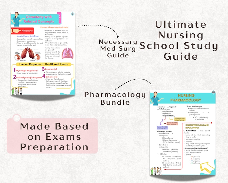 Ultimate Nursing Success Bundle: 470+ Page Handwritten Notes by an RN ...