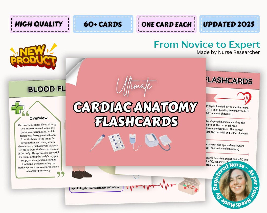 Complete Cardiac Anatomy Flashcards 2025, Cardiovascular System, Heart ...