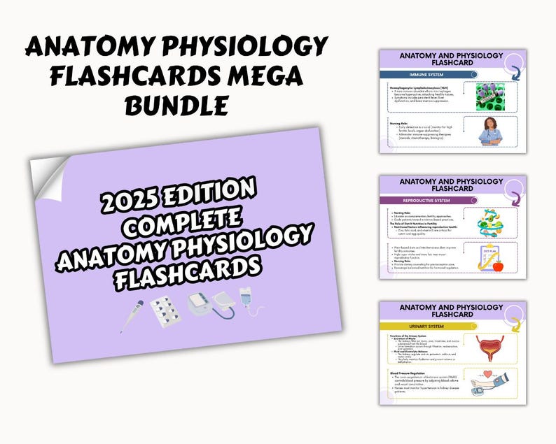 250+ Anatomy and Physiology Flashcards | Anatomy Study Guide | Nursing ...