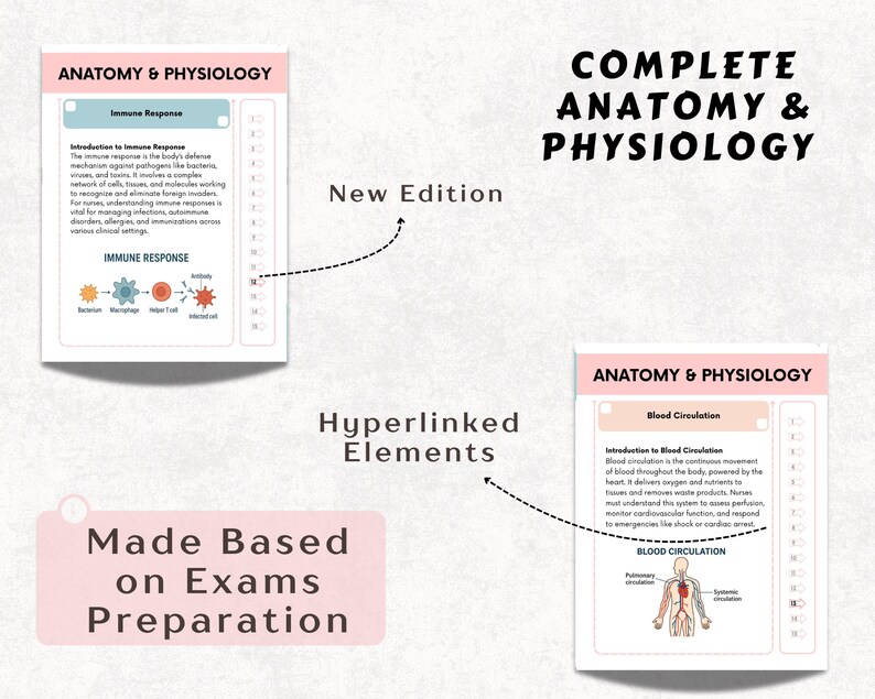 Anatomy & Physiology Bundle, Flashcards, 20+ Topics, 600+ Pages ...