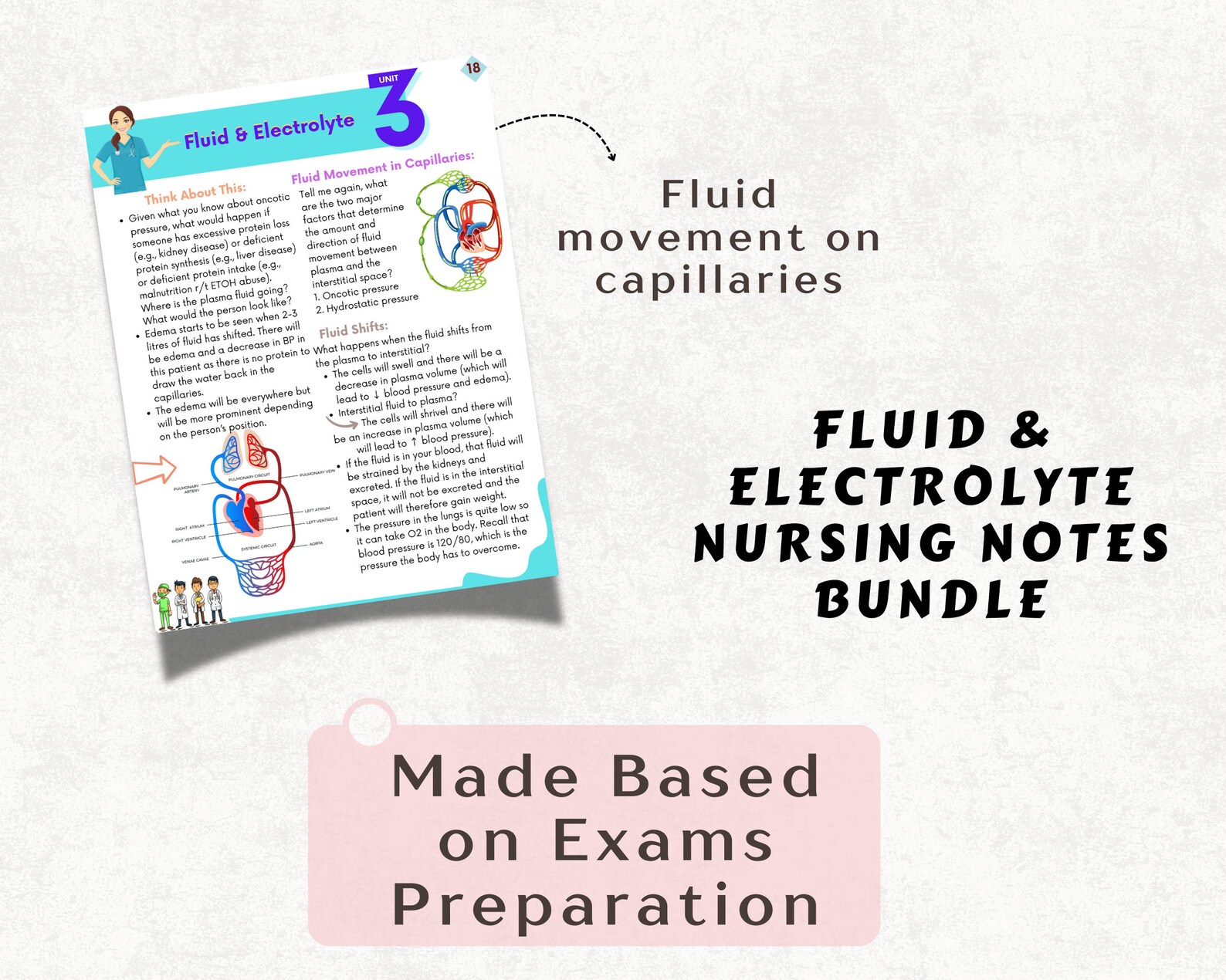 Electrolytes Imbalance Bundle | Nursing Notes Guide | Nursing School ...
