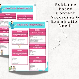 Ultimate Nursing Success Bundle: 470+ Page Handwritten Notes by an RN ...