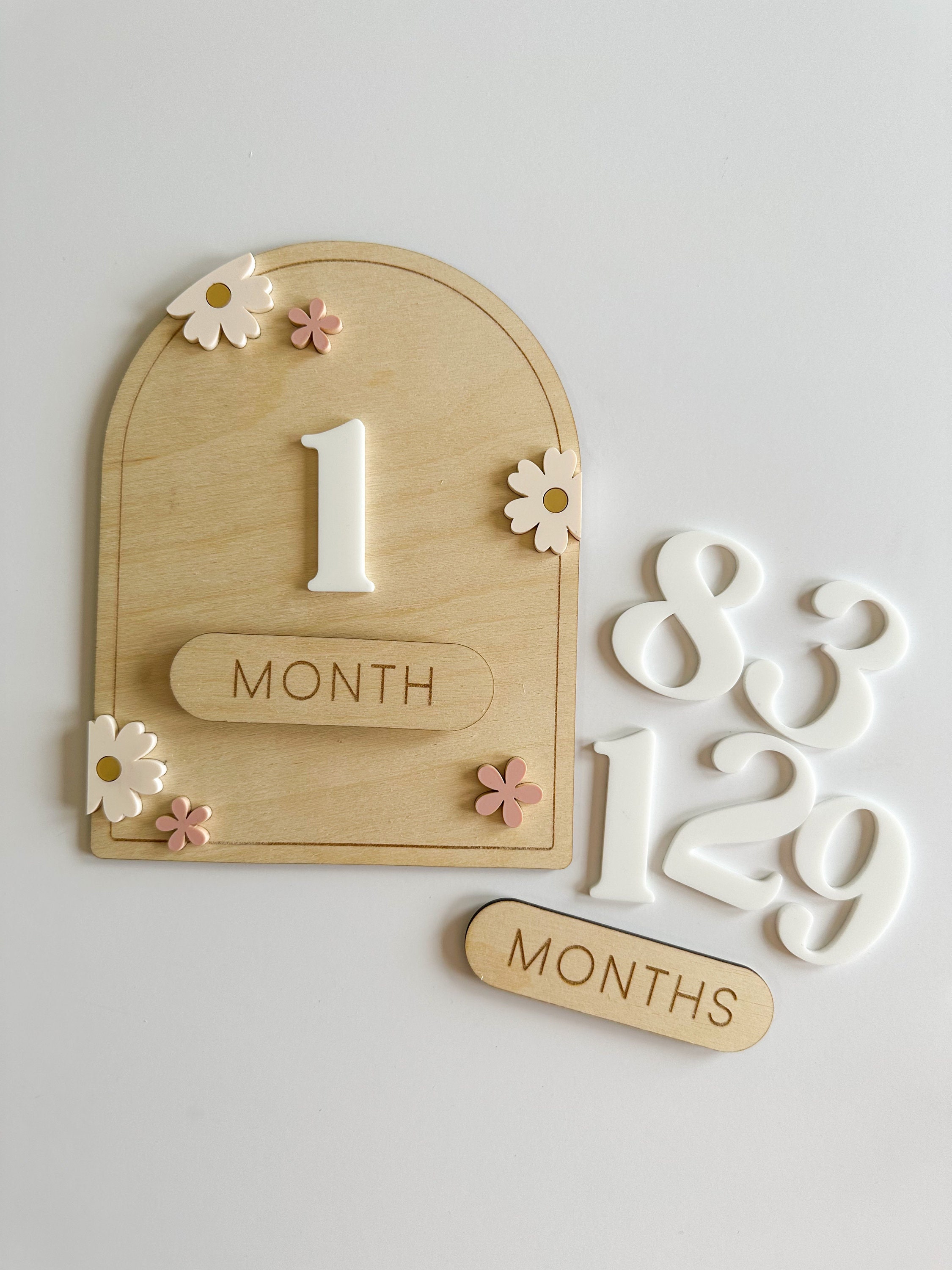 Daisy Interchangeable Milestone Sign, Baby Girl Milestone Sign, Arched ...