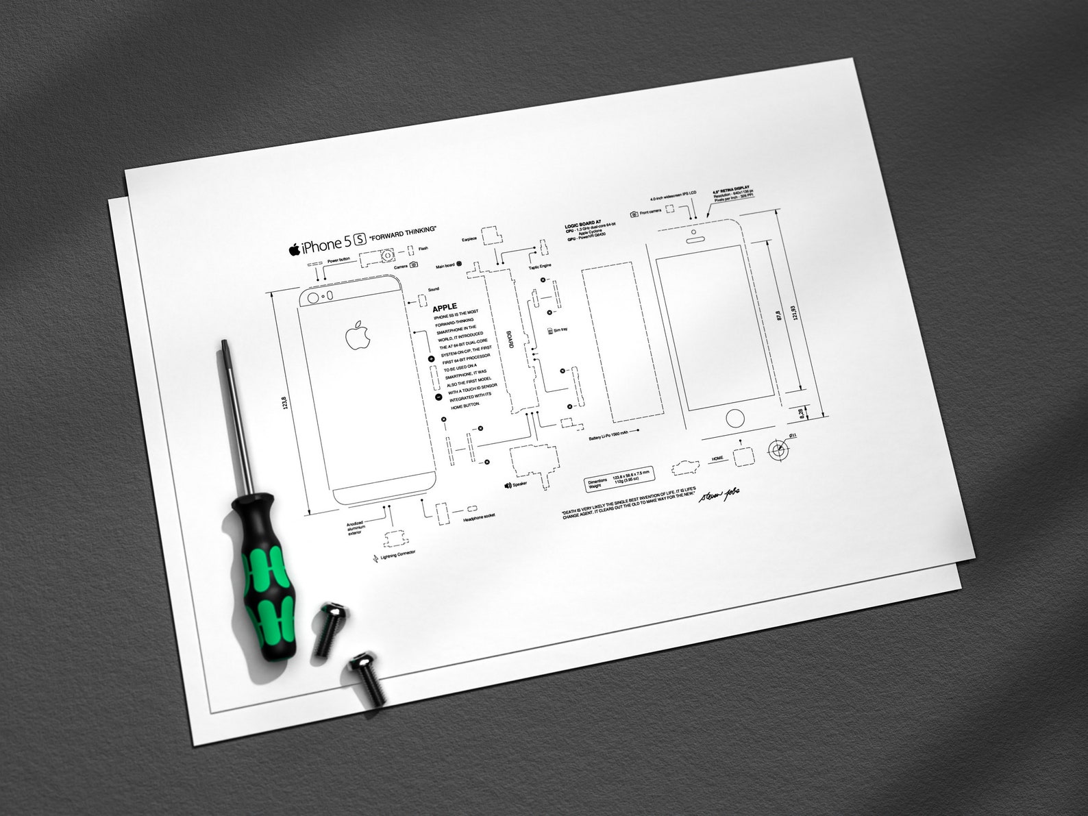 IPhone 5S Teardown Template A3 iPhone Frame Template, Framed Iphone ...