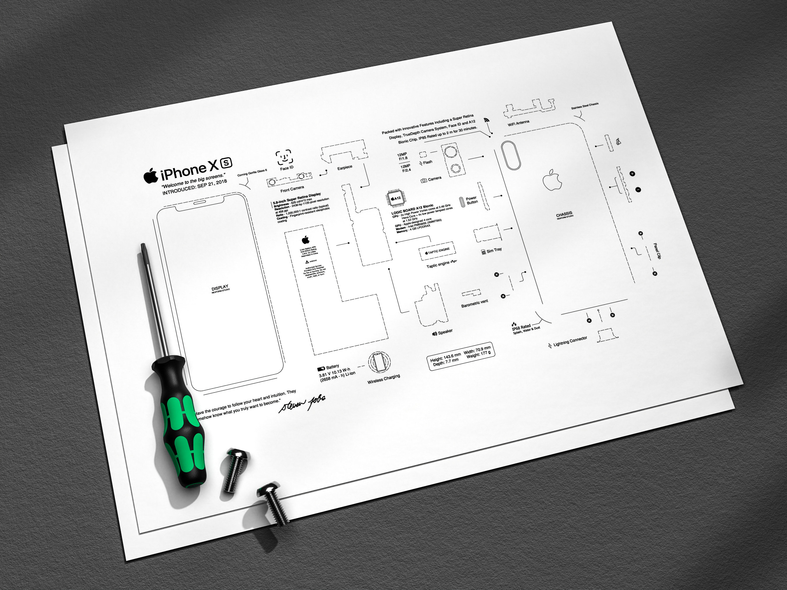 IPhone XS Teardown Template, iPhone Xs Teardown, Framed Iphone, iPhone ...