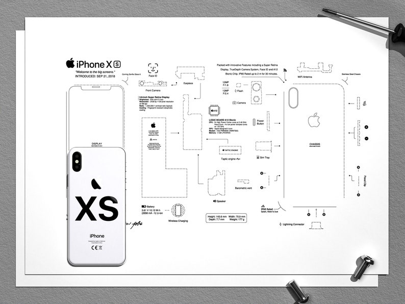 IPhone XS Teardown Template, iPhone Xs Teardown, Framed Iphone, iPhone ...
