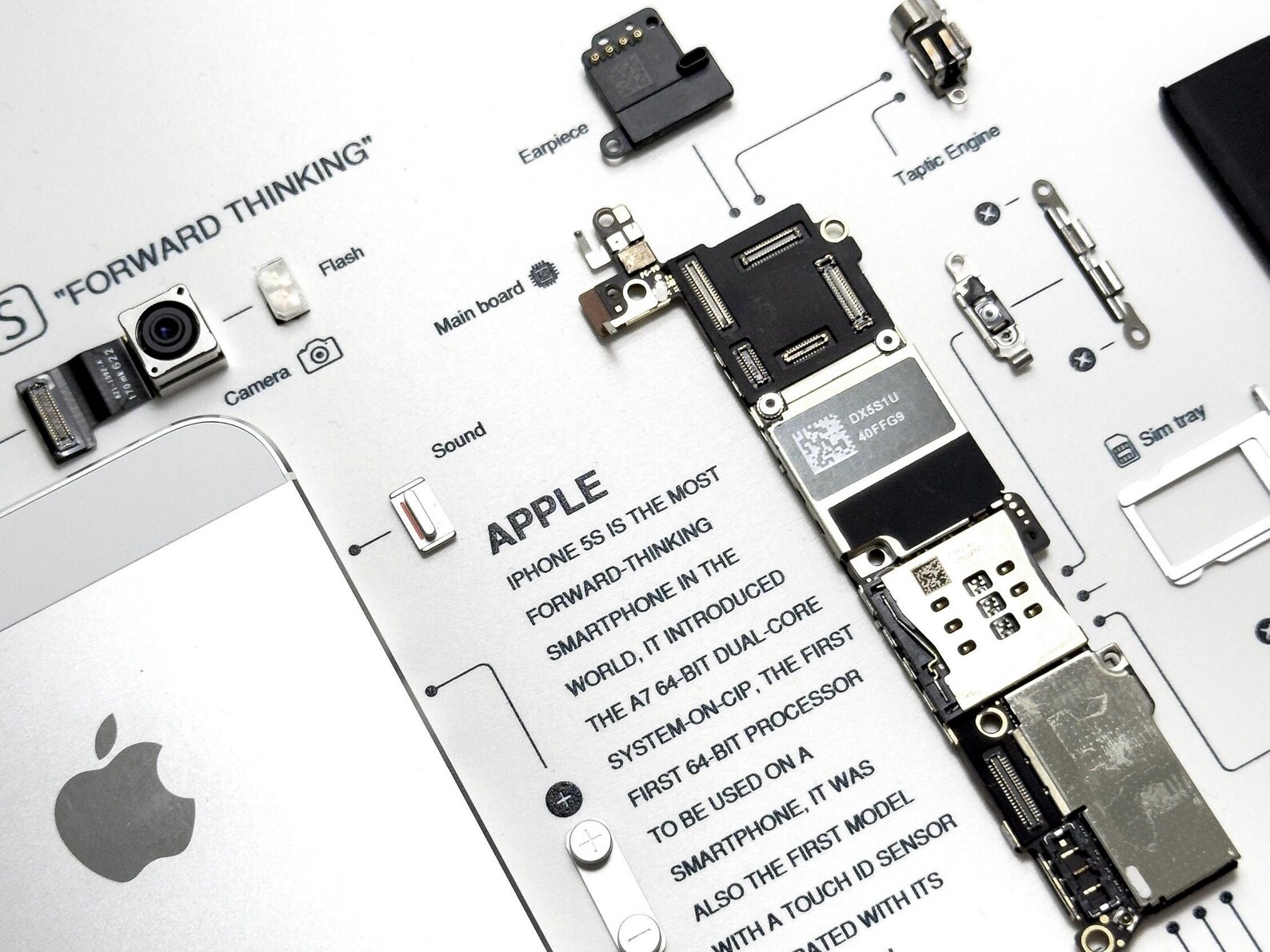 IPhone 5S Teardown Template A3 iPhone Frame Template, Framed Iphone ...