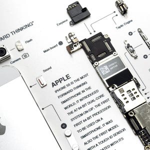 IPhone 5S Teardown Template | A3 | iPhone Frame Template, Framed Iphone ...