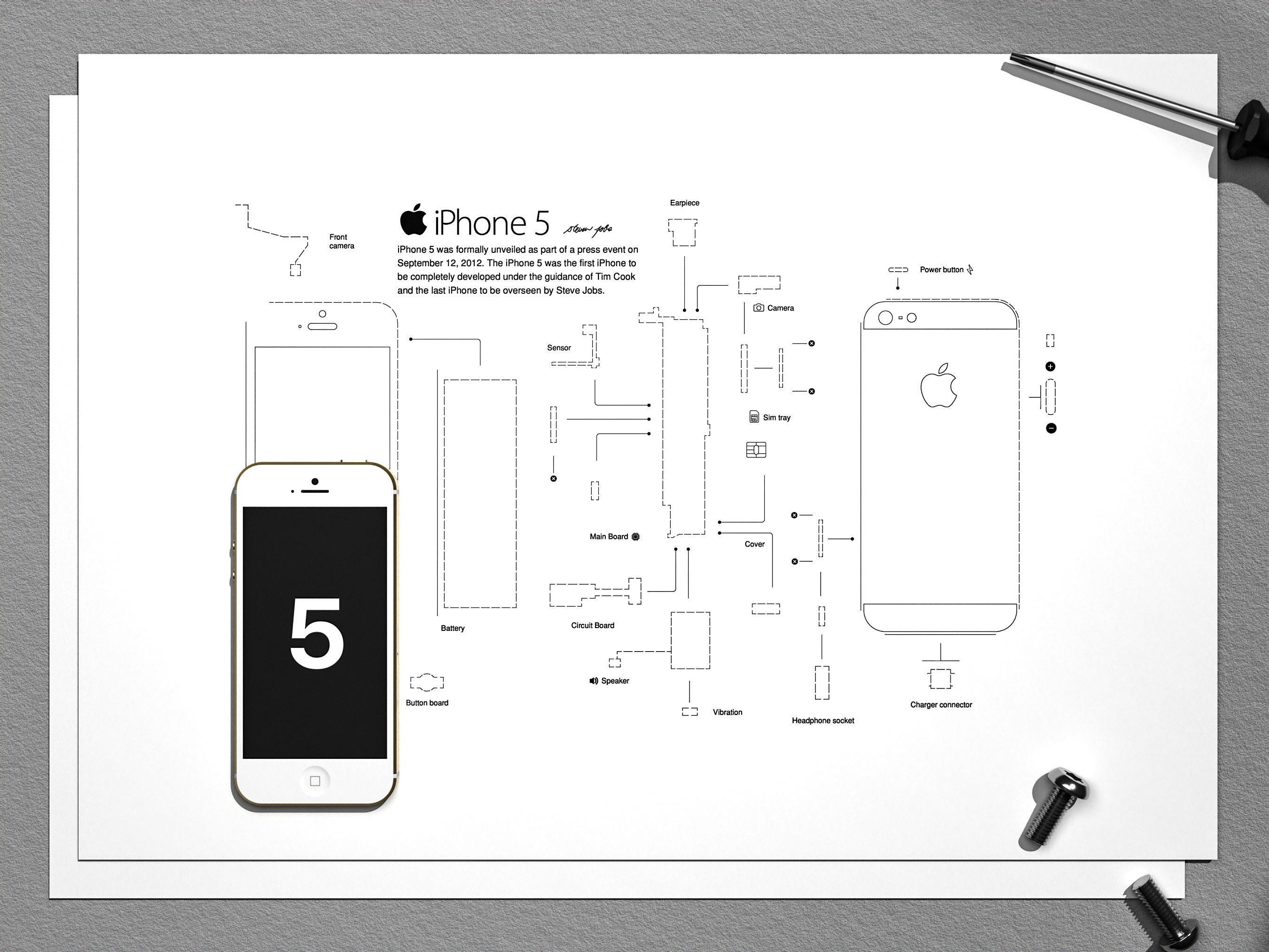 White Iphone 5s Template