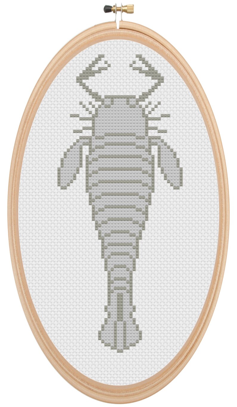 Sea Scorpion Eurypterid Cross Stitch Pattern - Etsy